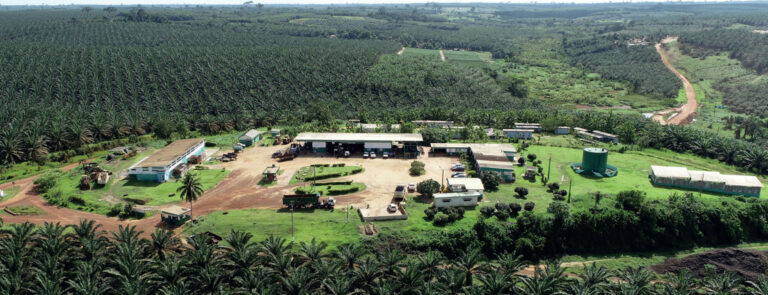 Le groupe SIFCA,pionnier de la RSE en Afrique – Groupe SIFCA