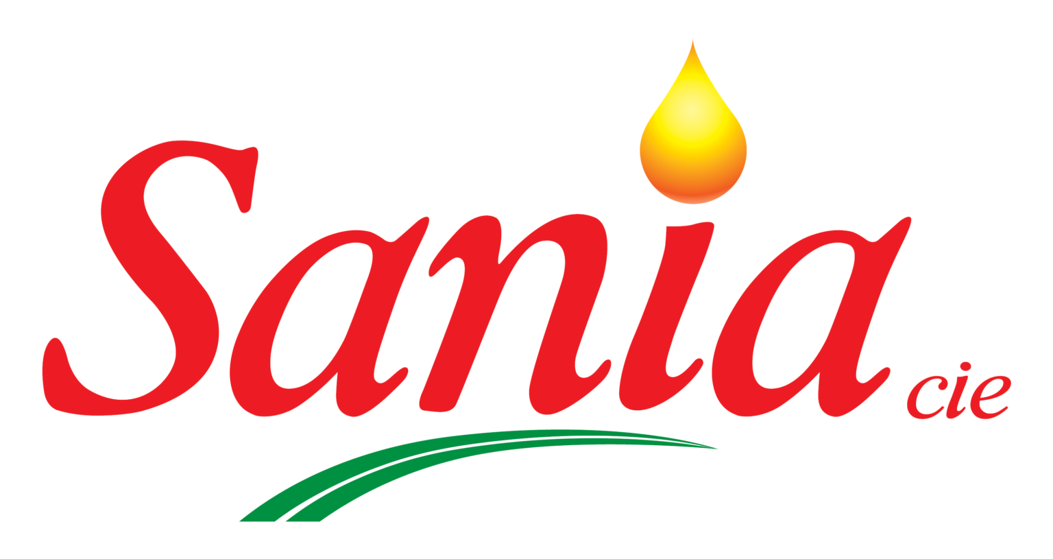 Ingénieur Electricité & Instrumentation – SANIA – Groupe SIFCA