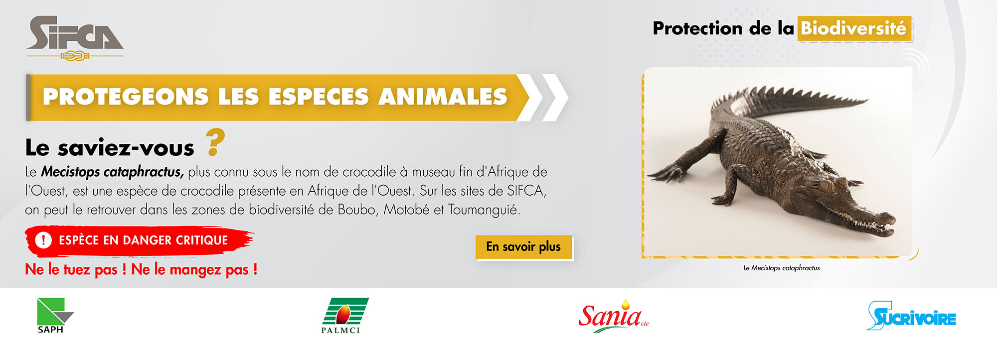 SIFCA – Cultivons notre croissance