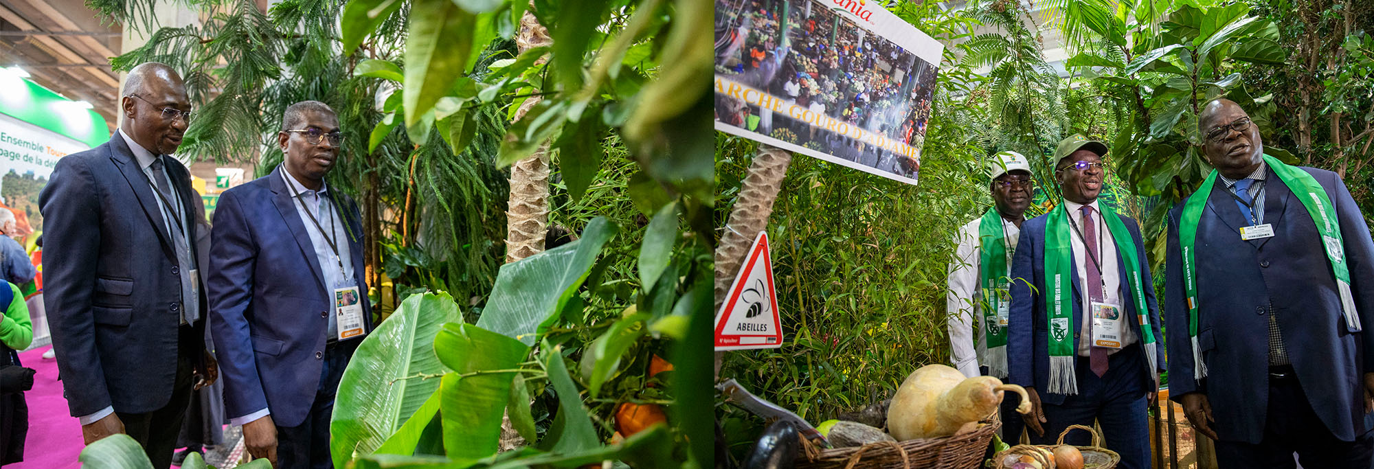 Groupe SIFCA – Leader de l'agro-industrie en Afrique de l'Ouest